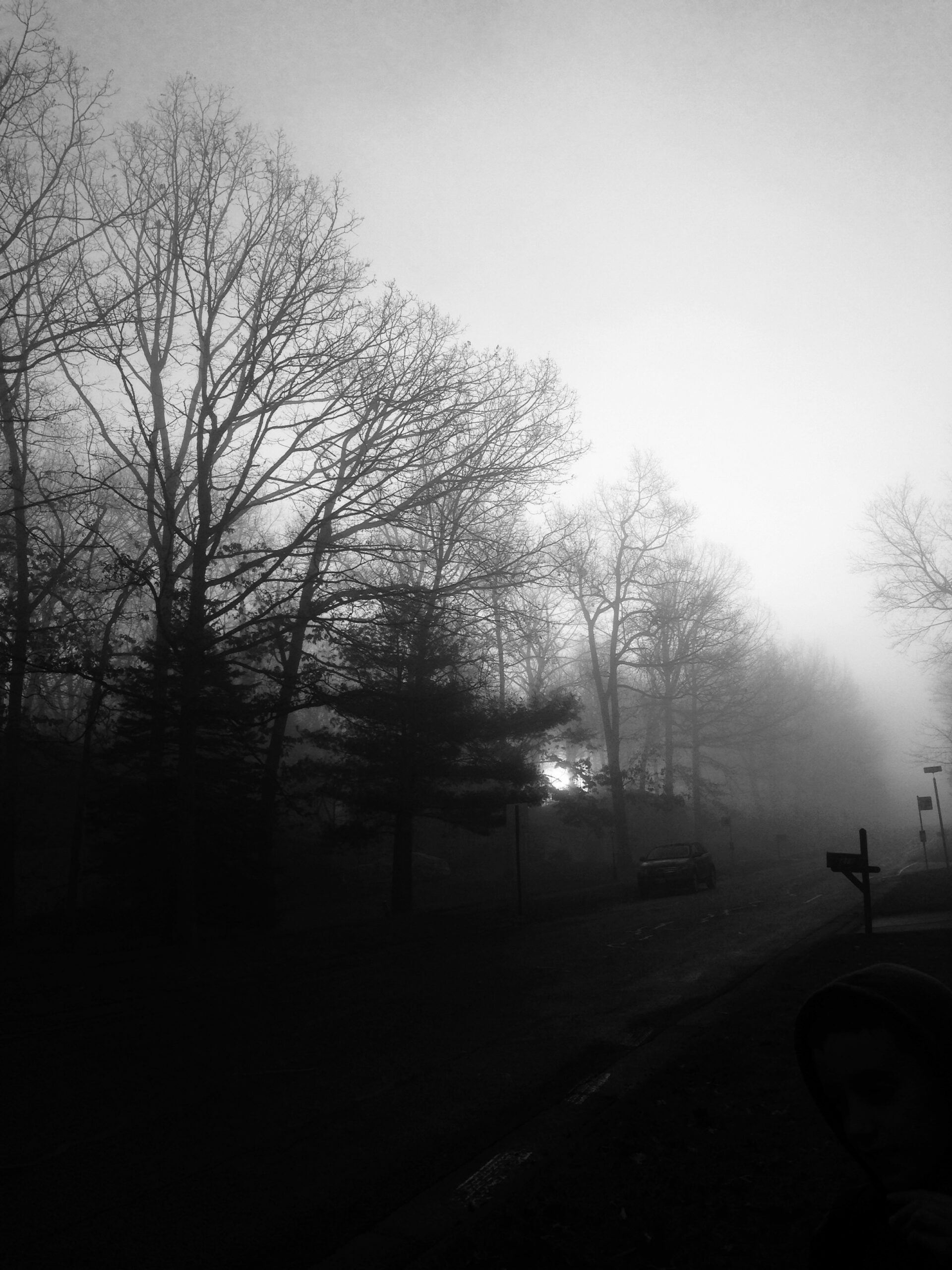 Mysterious Mood - Heather Holleman
