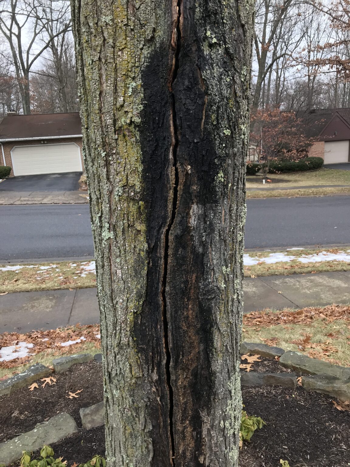 Frost Cracking - Heather Holleman