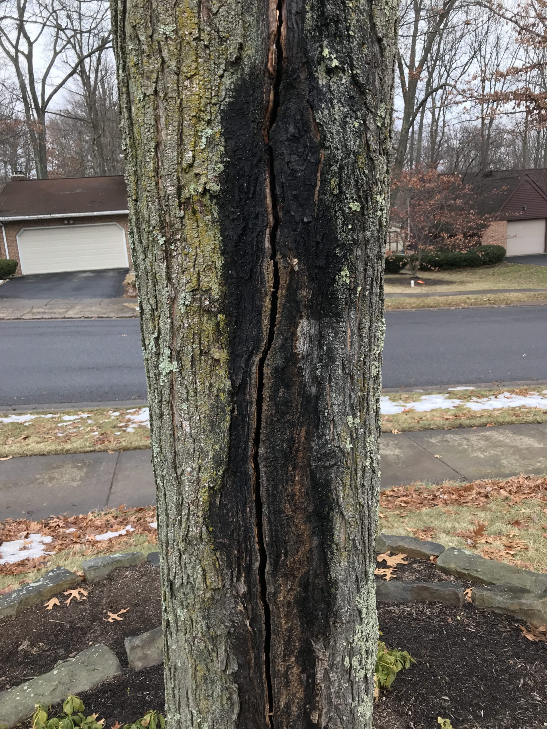 Frost Cracking - Heather Holleman