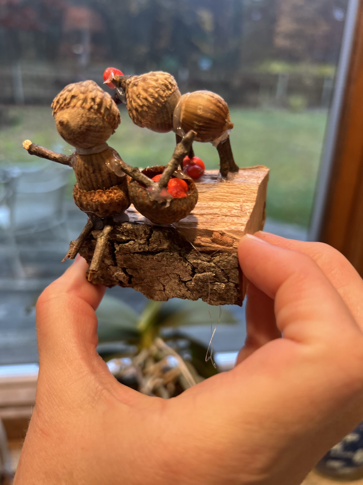 The Acorn People Craft - Heather Holleman